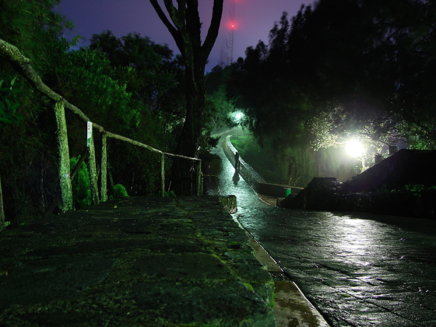 Parque Nacional Waraira Repano (El Ávila) – venezuela verde