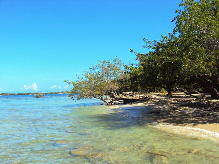 Chichiriviche – venezuela verde