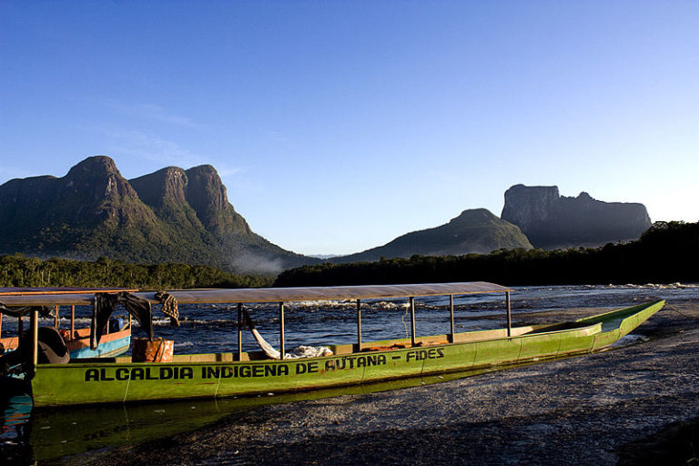 El Majestuoso Estado Amazonas – venezuela verde