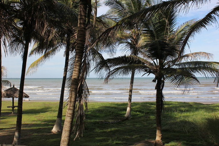 Vamos a Tucacas! – venezuela verde