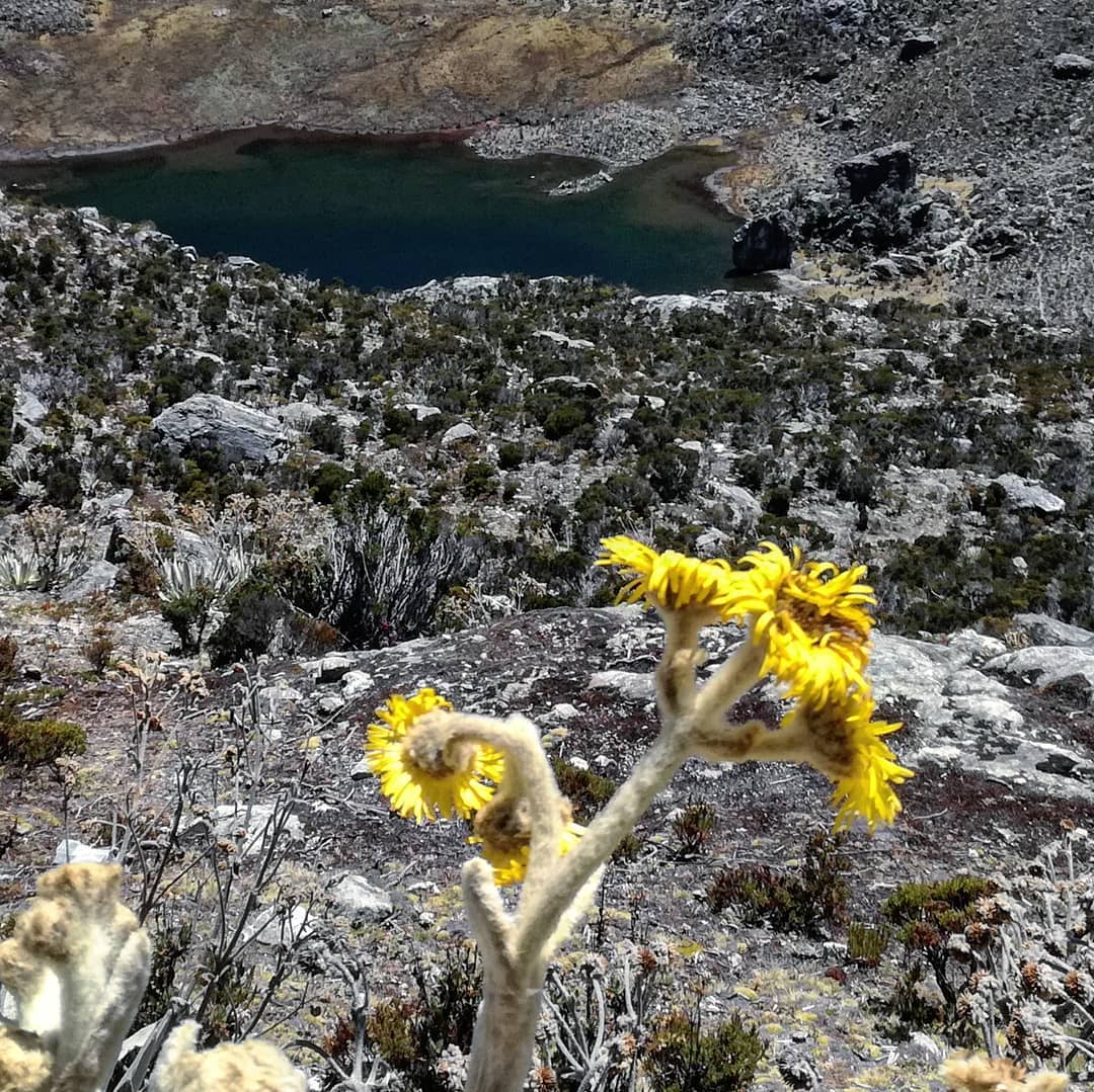 Mérida, la mas hermosa ciudad de los andes Venezolanos – venezuela verde